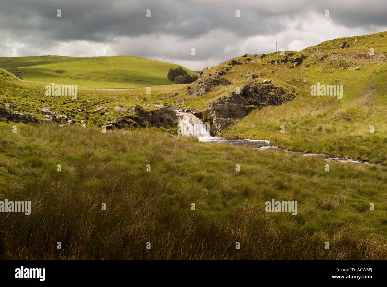 Upland stream the Camddwr river in open rural welsh upland landscape ...
