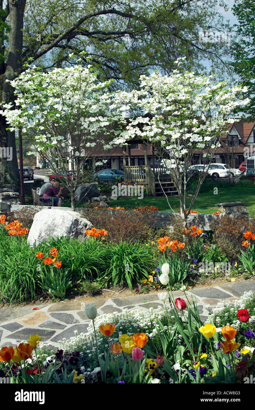 Spring flowers and blossoms at a small park at Pigeon Forge Tennessee ...