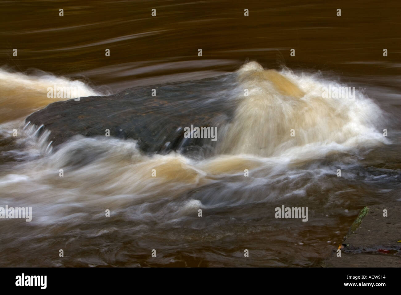 Fast flowing river irwell in flood flowing around a rock after heavy ...