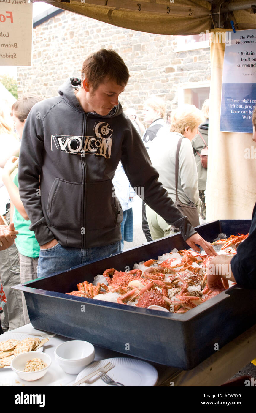 Man looking and checking fresh seafood shellfish at Aberaeron seafood ...