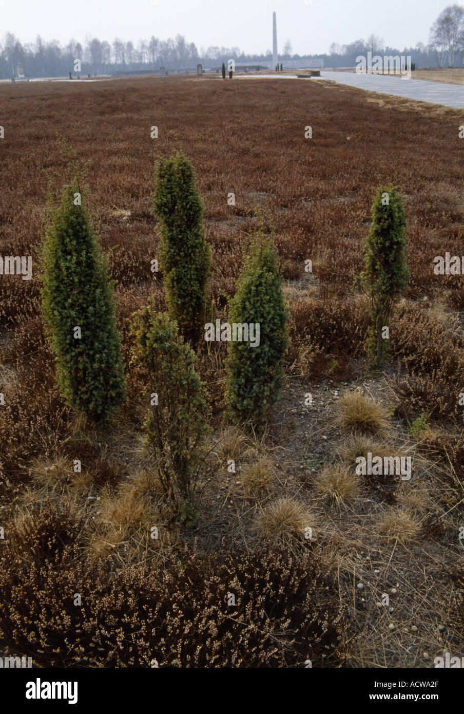 Burial mounds at Bergen Belsen Nazi death concentration camp in Germany ...