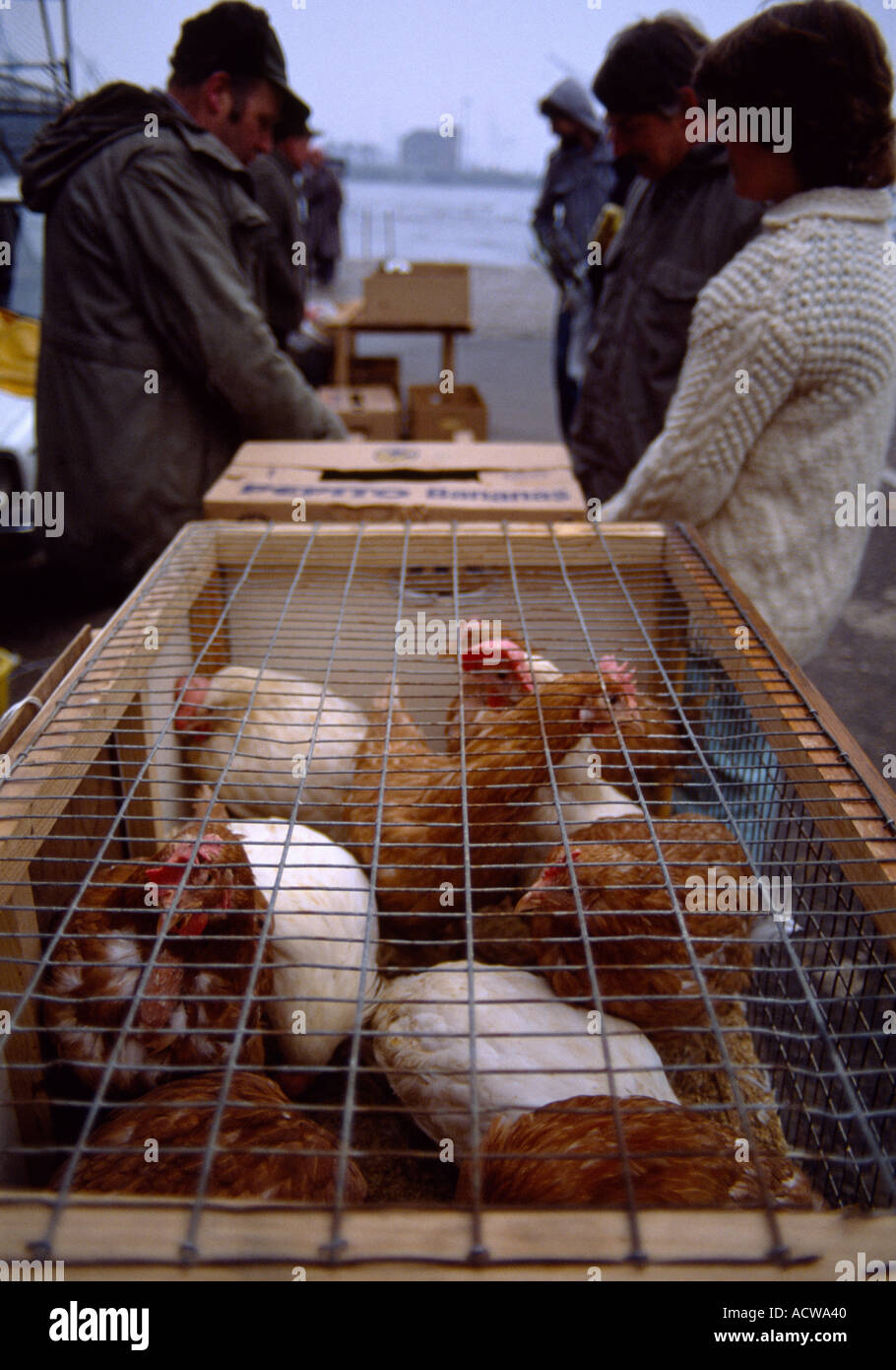 Animal Food Market Europe at Peter Zimmer blog