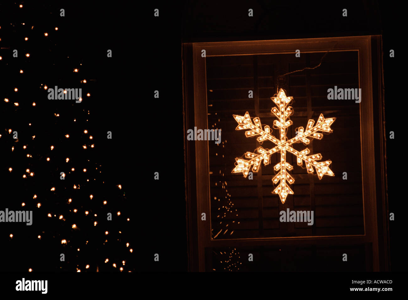 Window In Nature High Resolution Stock Photography and Images - Alamy