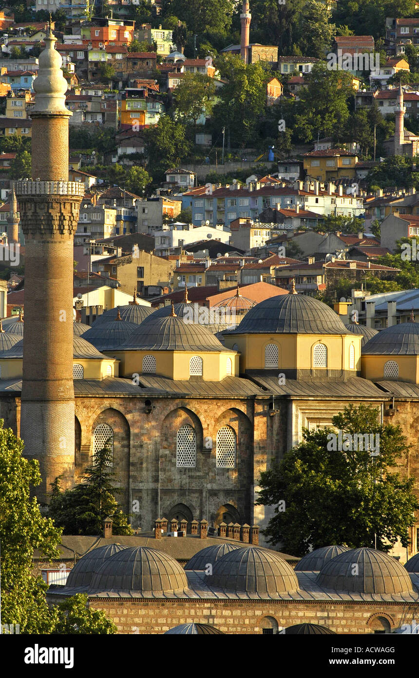 Big turkey hi-res stock photography and images - Alamy