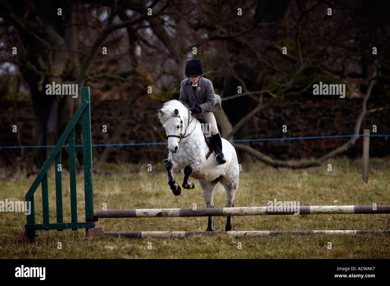 30 3 03 North Berwick Scotland Young girl on her pony model release may ...