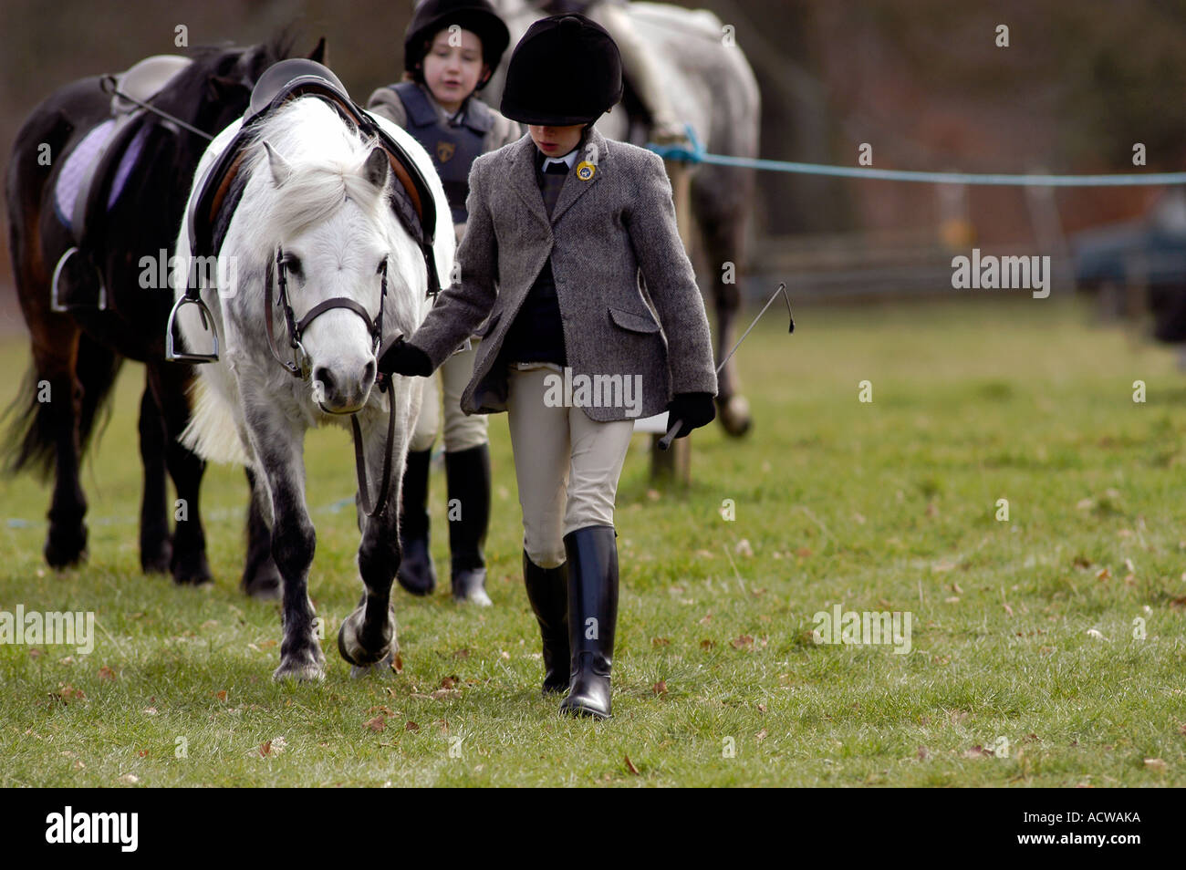 30 3 03 North Berwick Scotland Young girl on her pony model release may ...