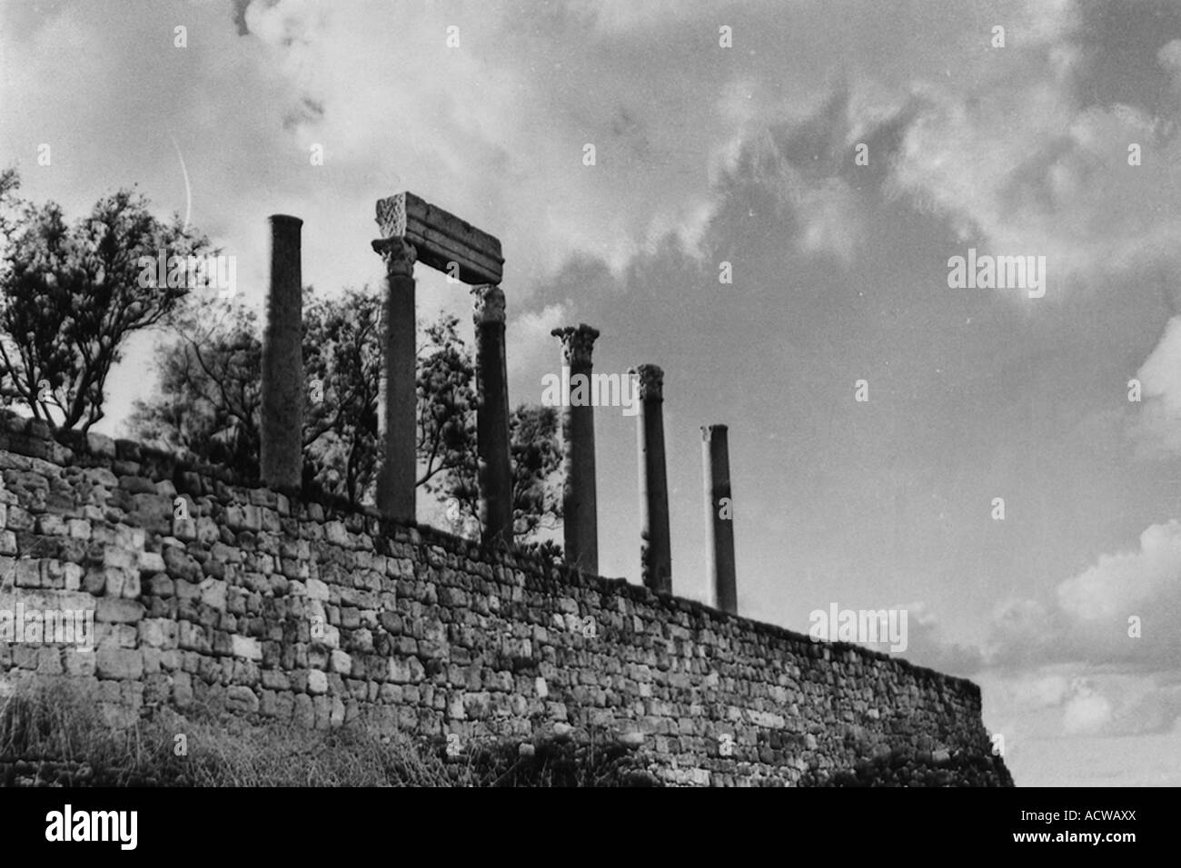 Greco Roman Columns Lebanon Stock Photo - Alamy