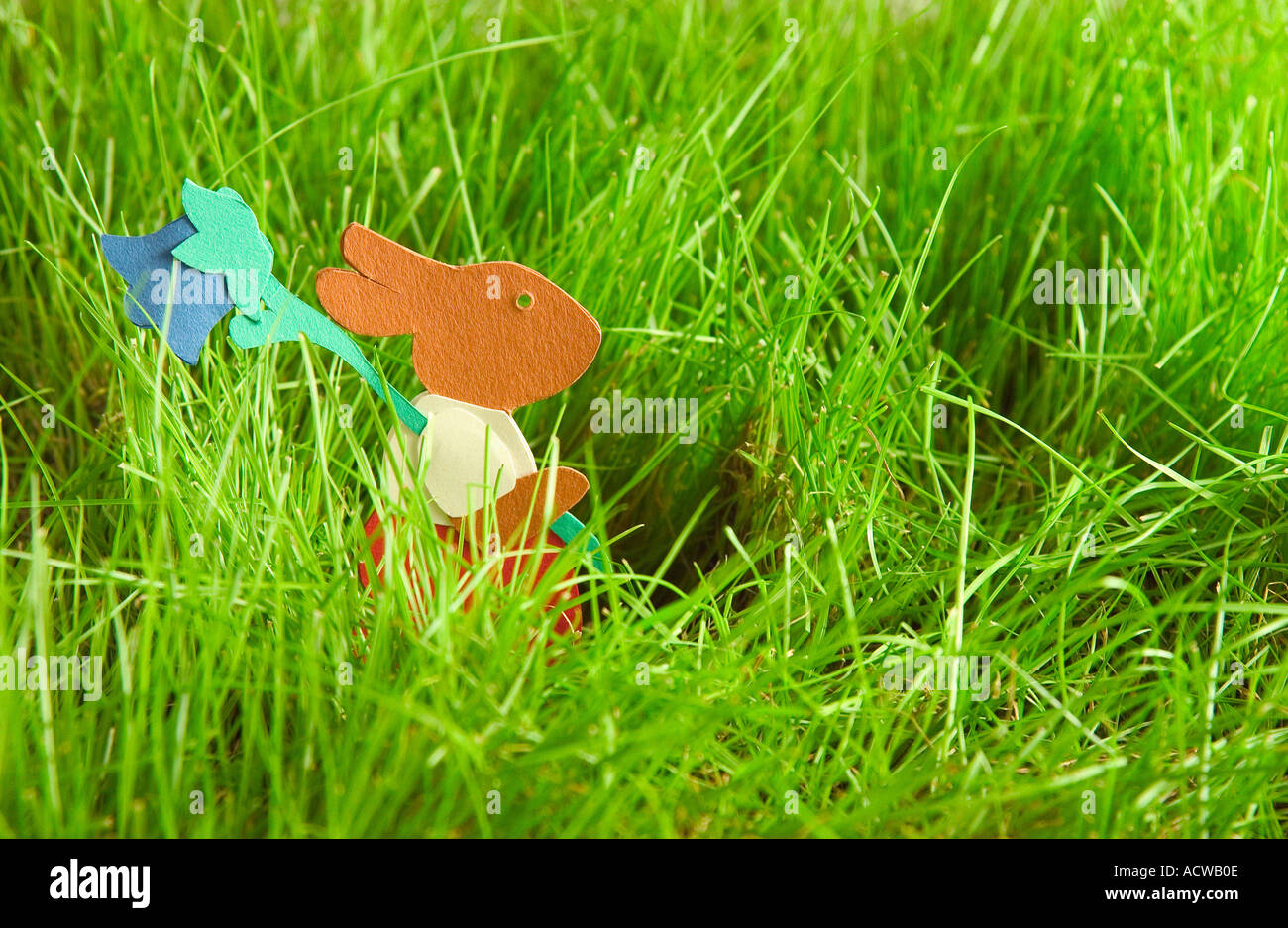 Easter bunny running in grass Stock Photo - Alamy