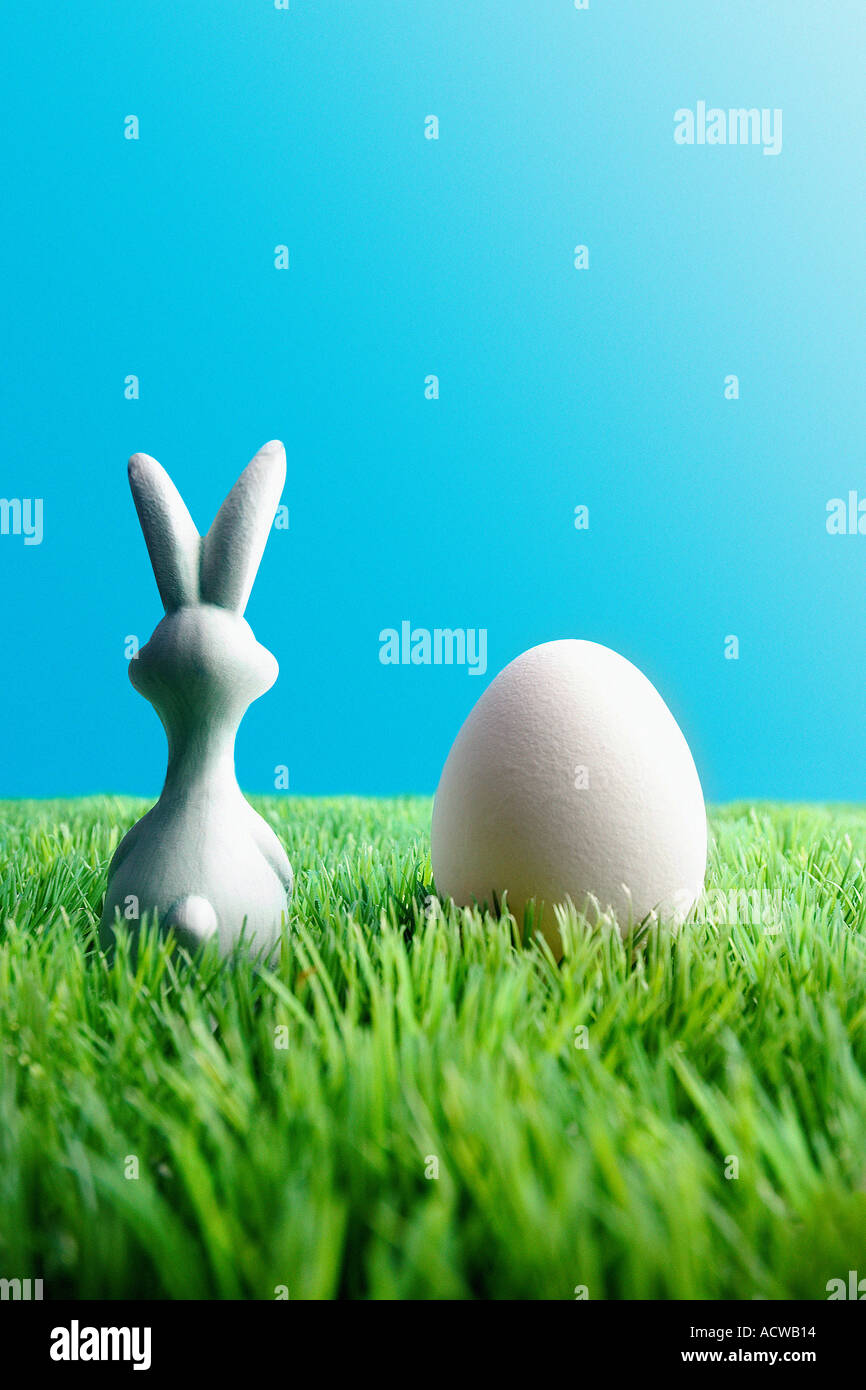 Bunny rear view hi-res stock photography and images - Alamy