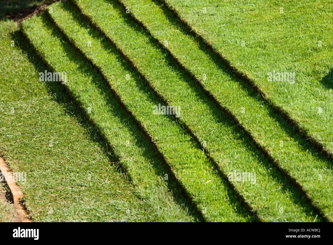 steps in newly laid turf Stock Photo - Alamy