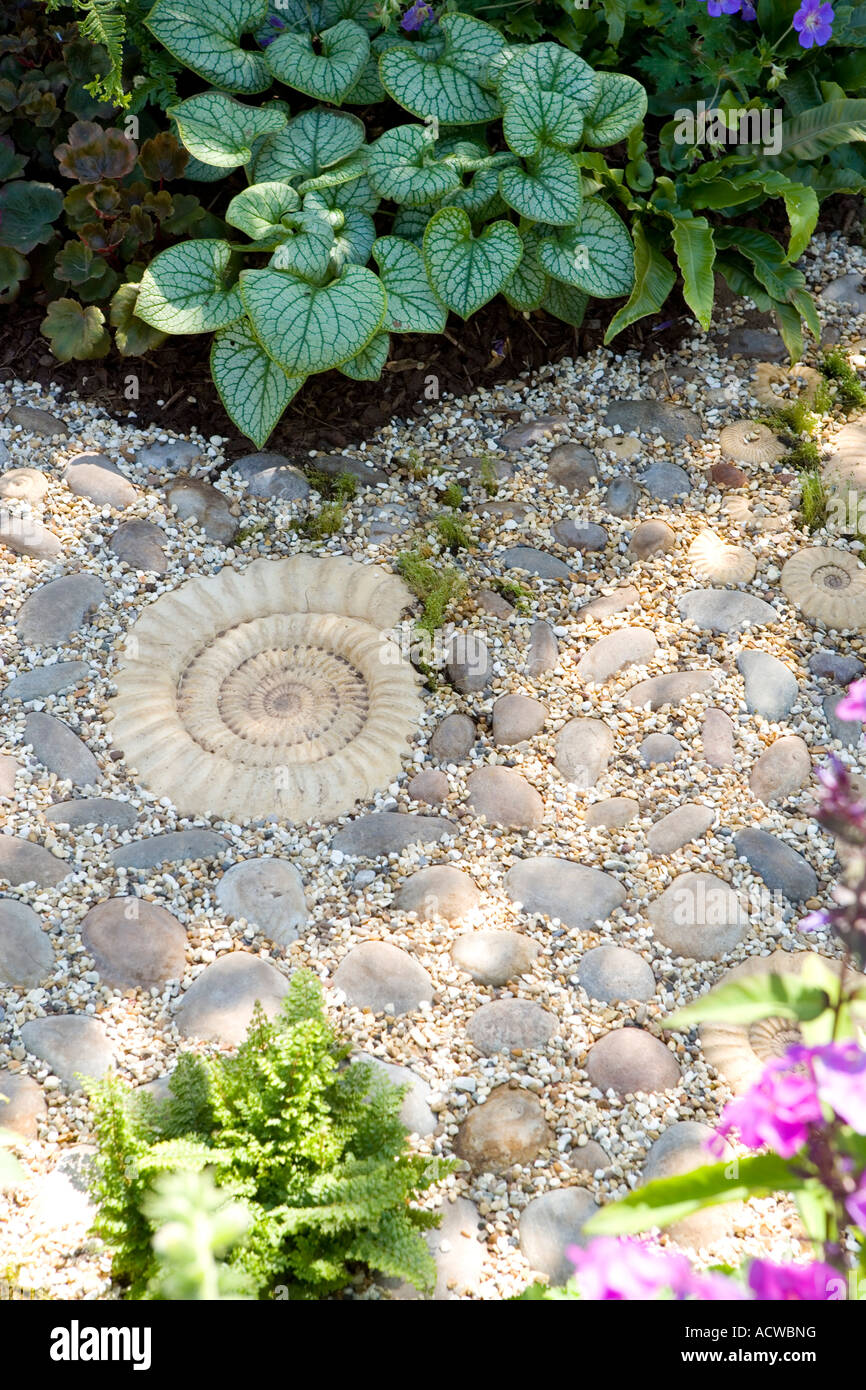 fossils embedded in pebble path Stock Photo - Alamy
