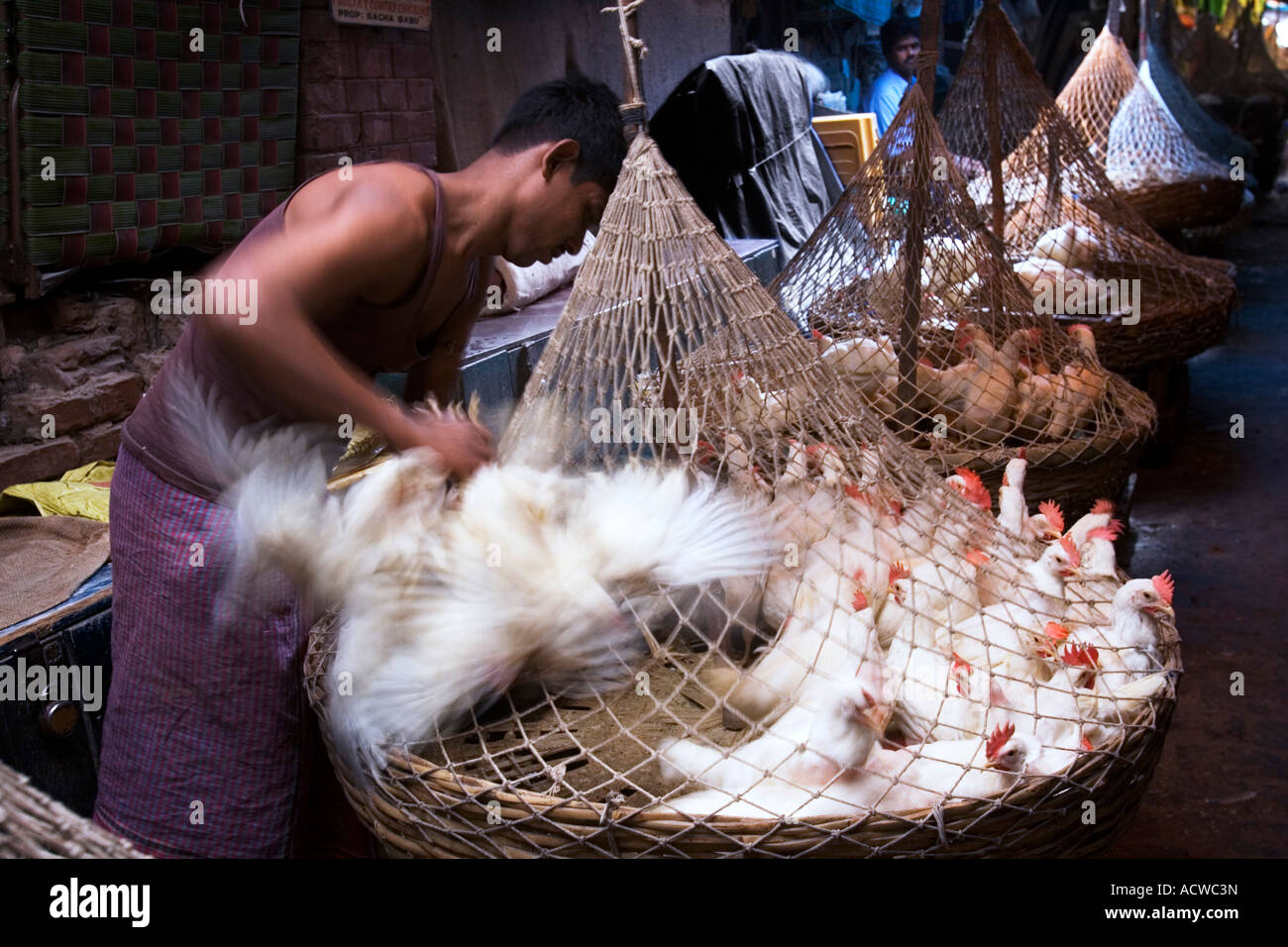 Hogg market Calcutta Kolkata India Stock Photo - Alamy