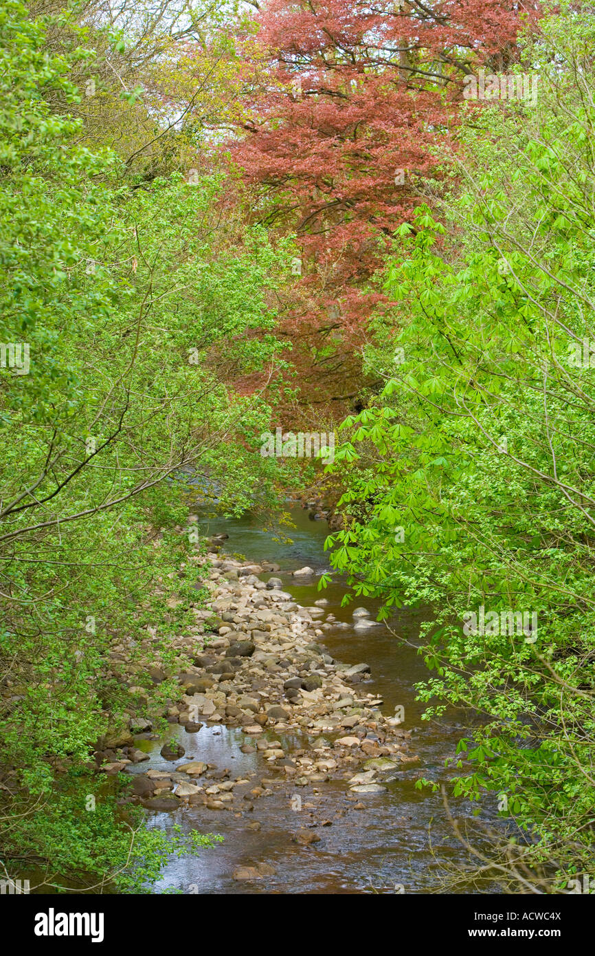 Roeburn river hi-res stock photography and images - Alamy