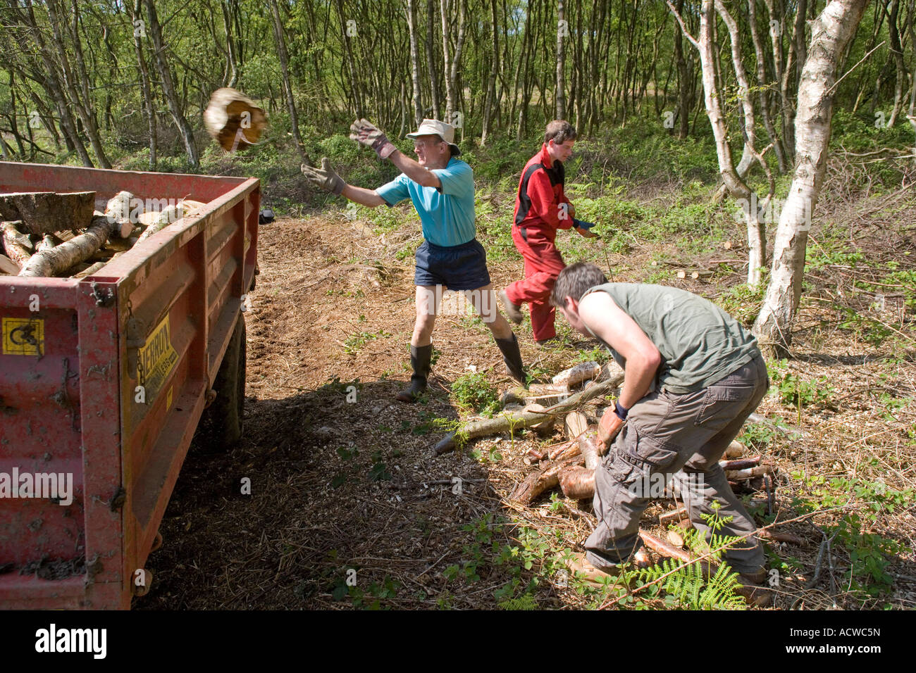 Conservation work hi-res stock photography and images - Alamy