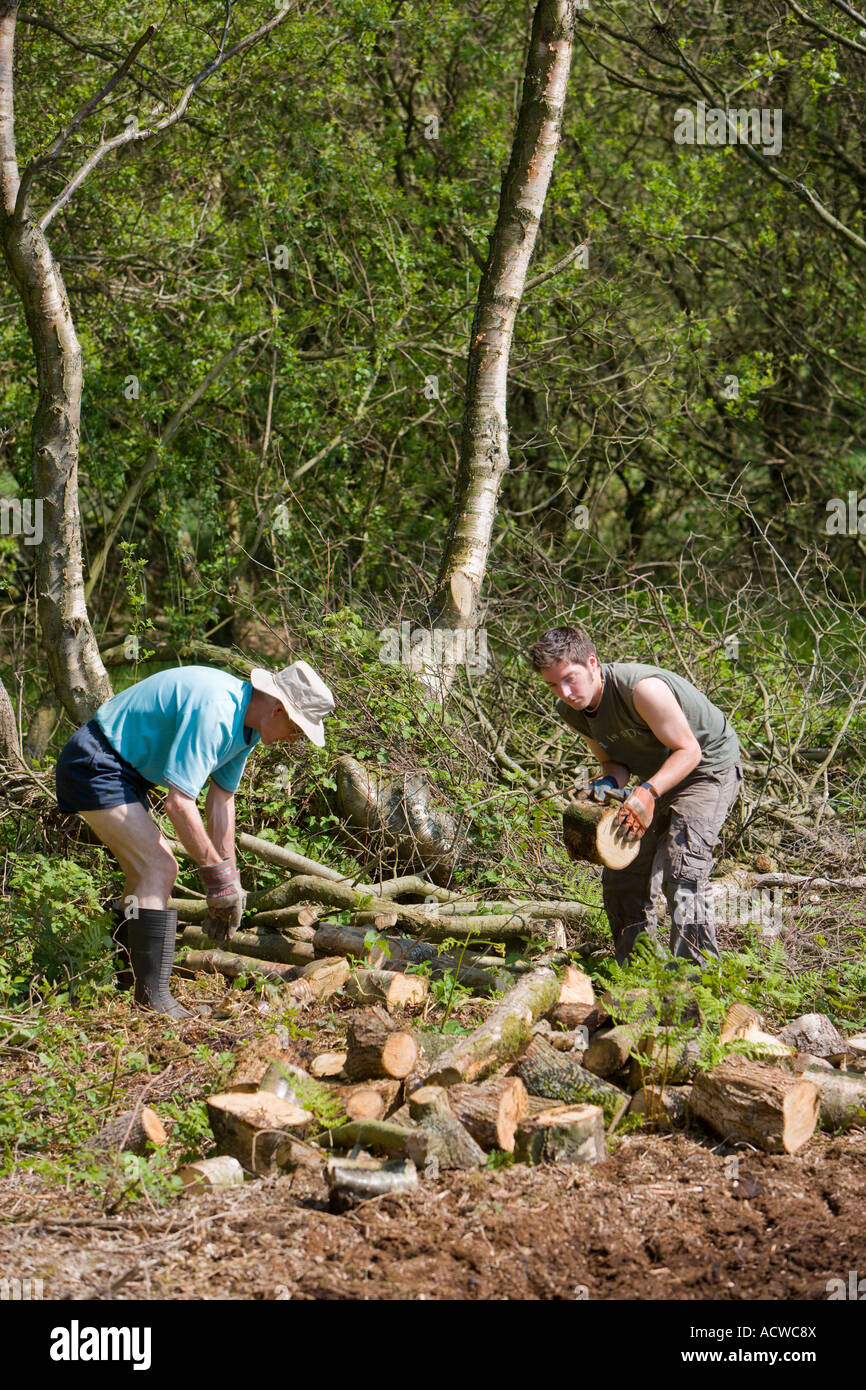 Conservation volunteers working on woodland management Stock Photo - Alamy