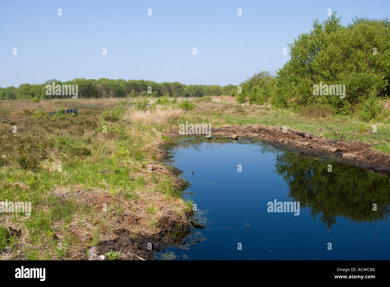 Heysham nature reserve hi-res stock photography and images - Alamy