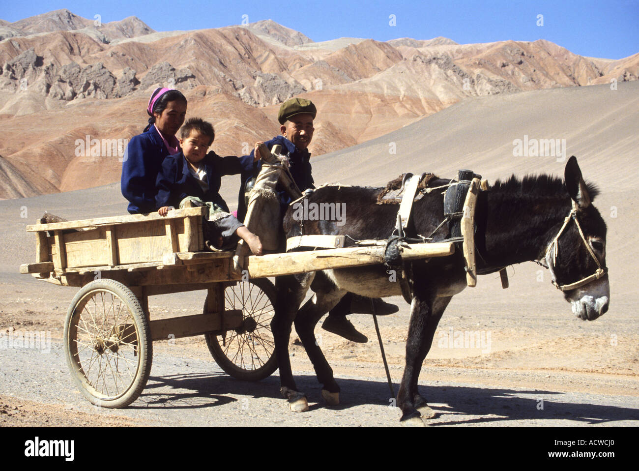 Chinese family on a donkey cart in western China Stock Photo - Alamy