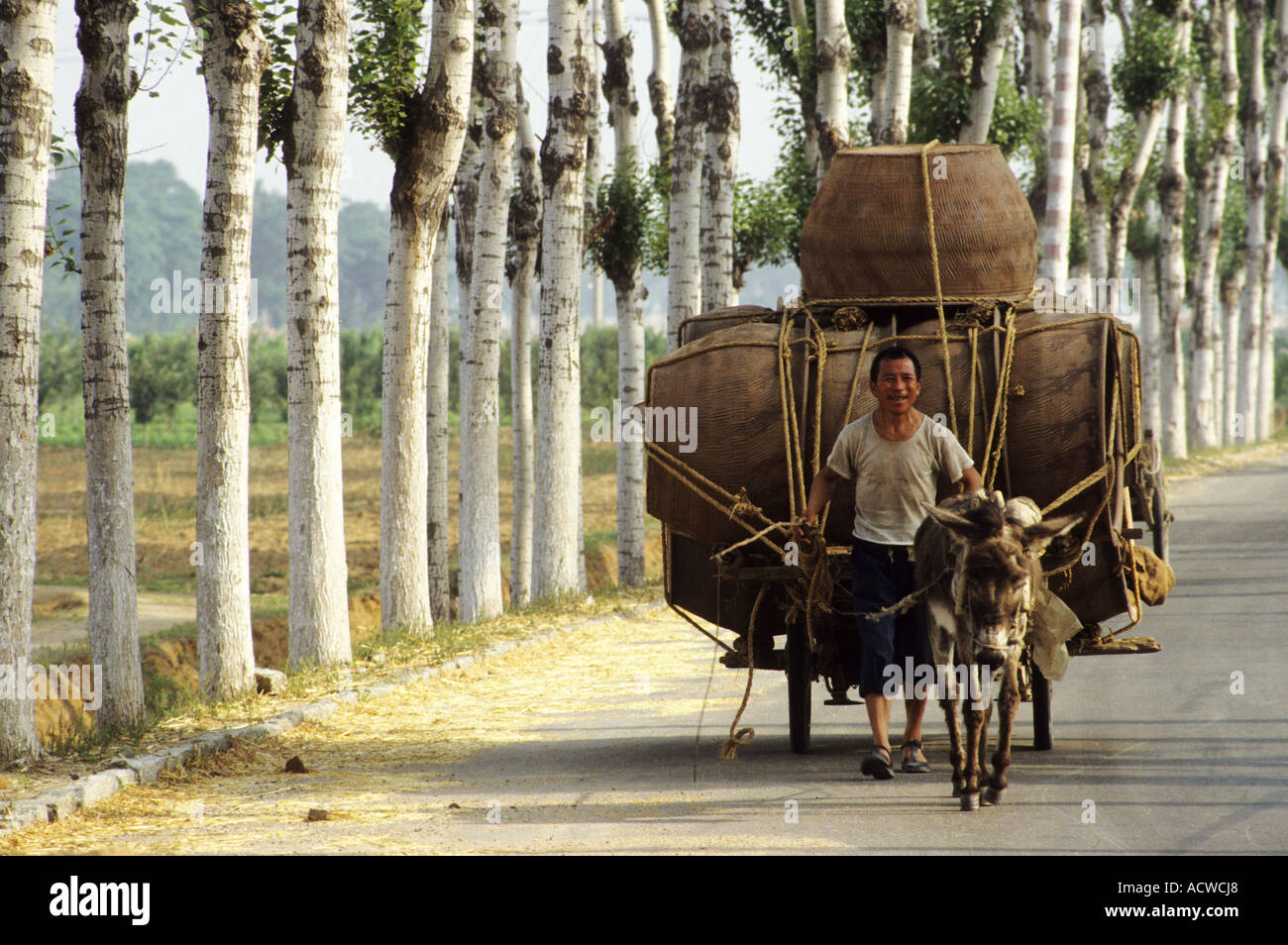 Donkey carrying heavy load hi-res stock photography and images - Alamy