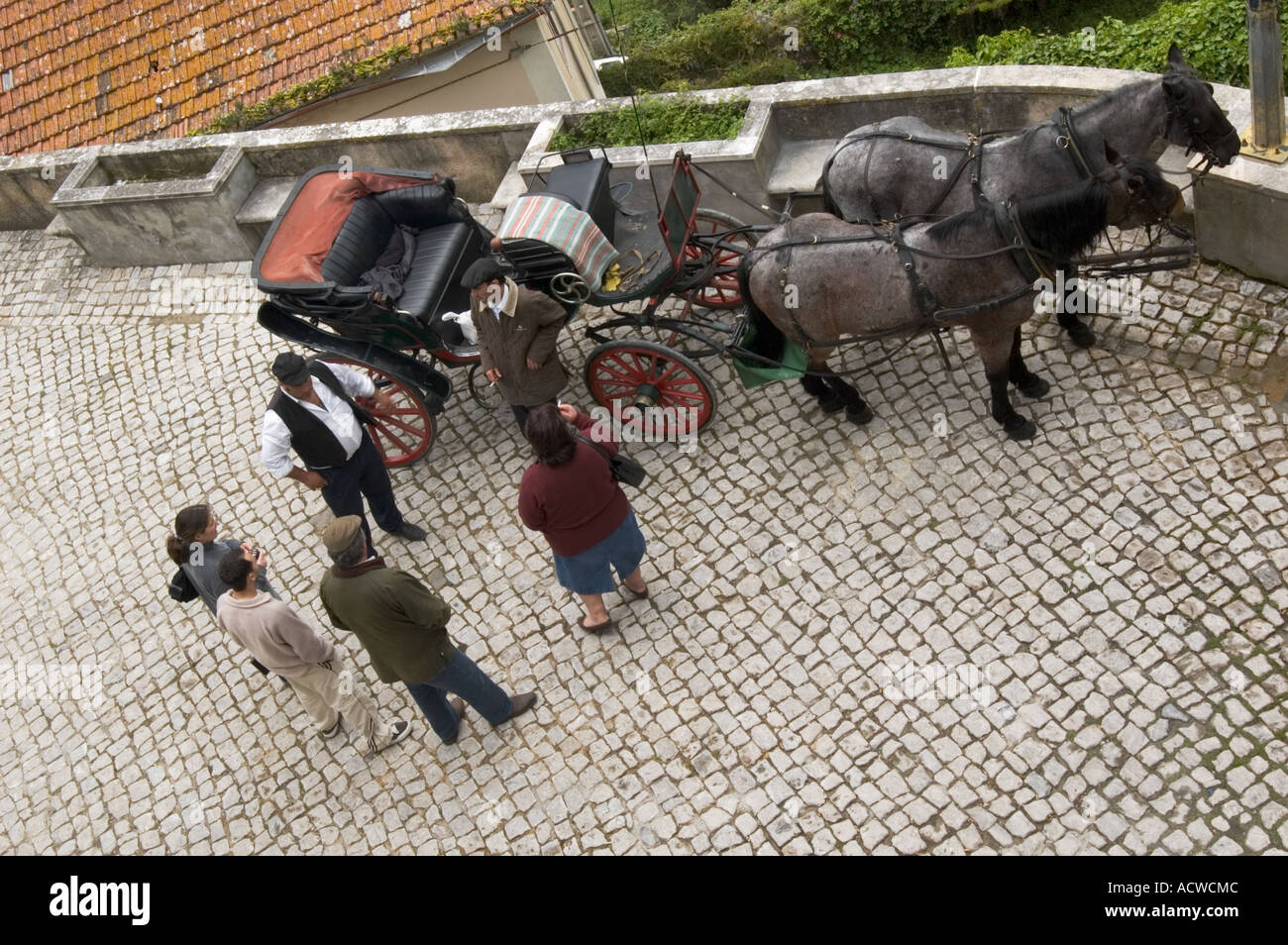 bird's eye view of horsedrawn carrriage, Sintra, Portugal Stock Photo ...