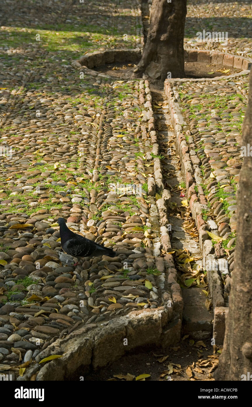 Pebble paving and watering channels for the orange trees in the Patio ...