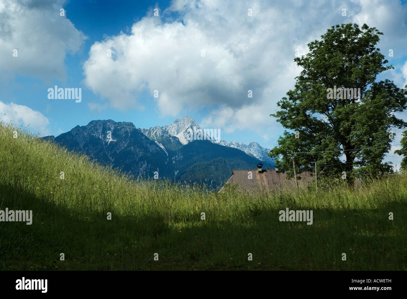 alpine summer landscape Stock Photo - Alamy