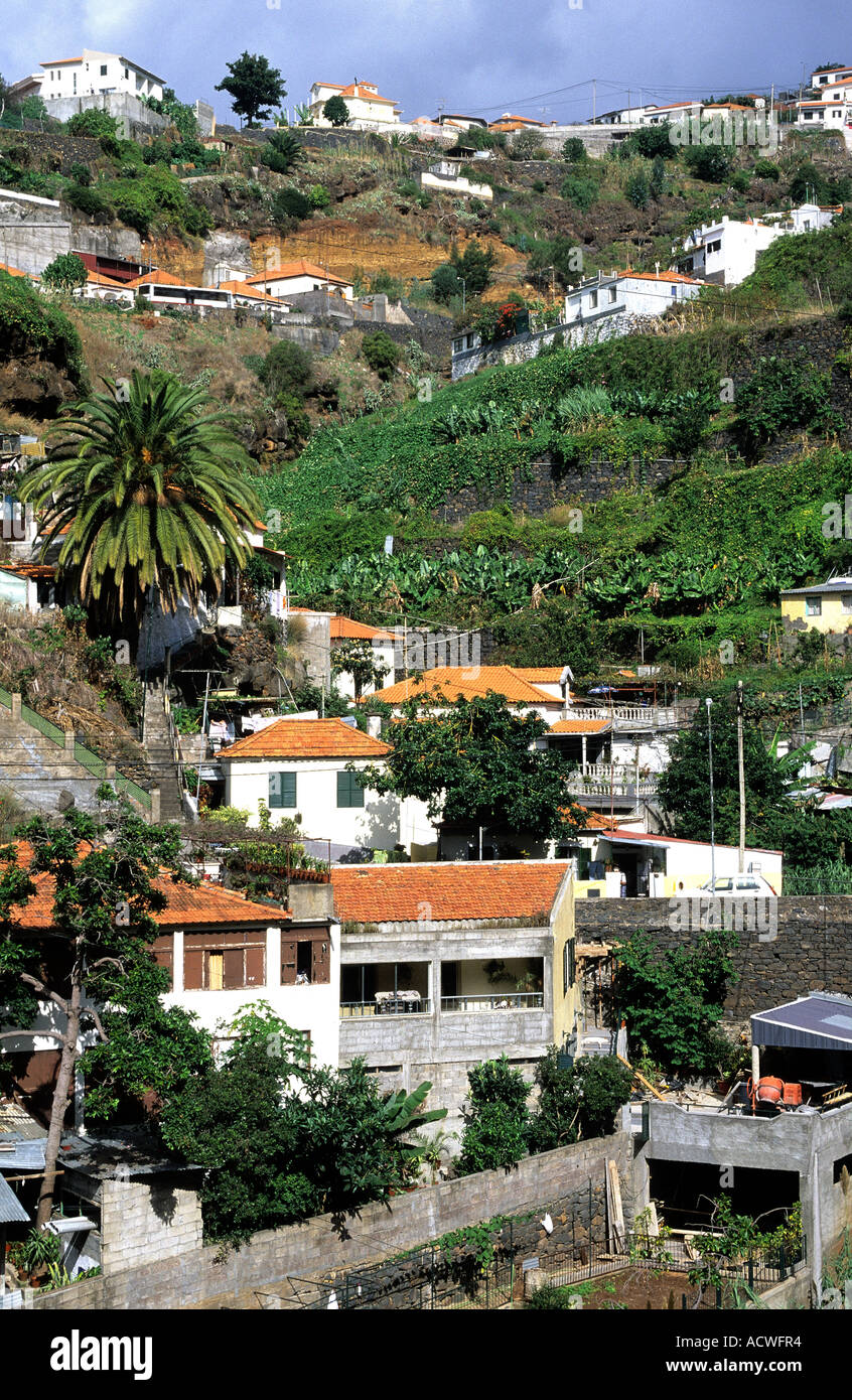 Houses outside Funchal area. Madeira Stock Photo - Alamy