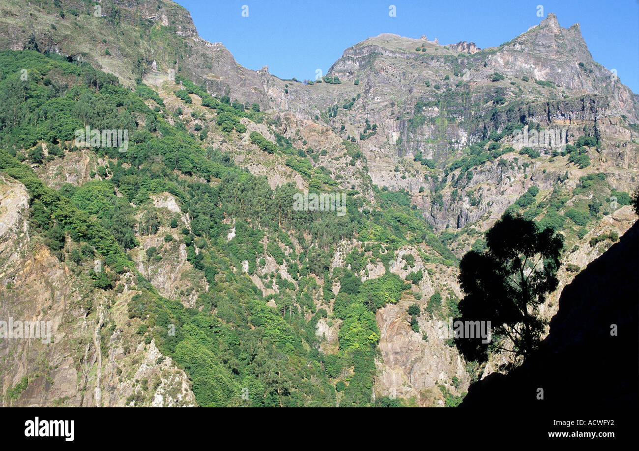 Mountain scenery of Madeira Stock Photo - Alamy