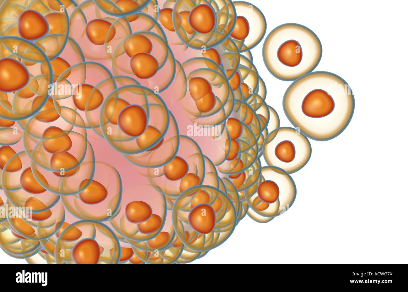 Cumulus corona hi-res stock photography and images - Alamy