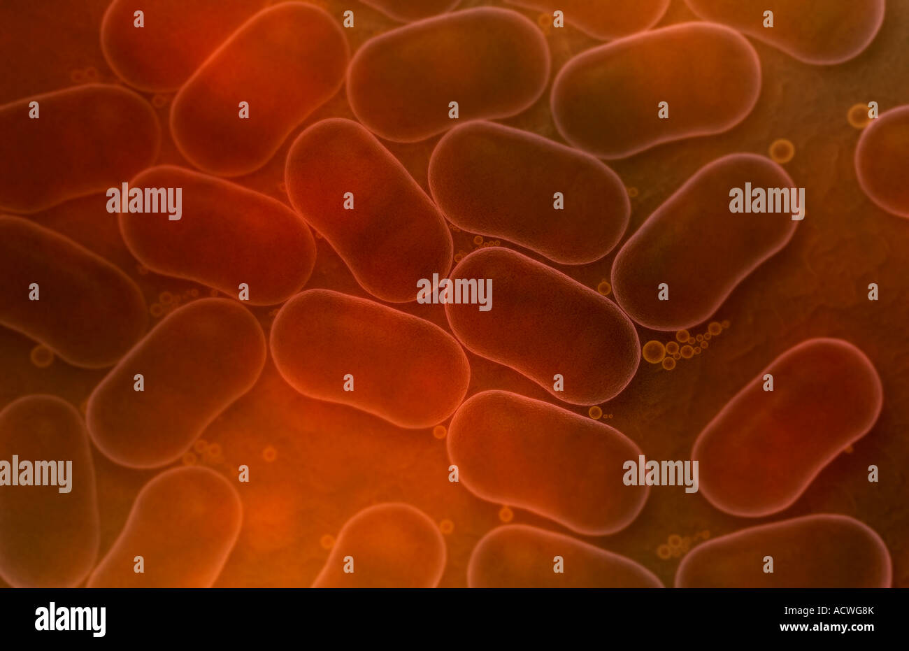 Generic bacterial cells Stock Photo - Alamy