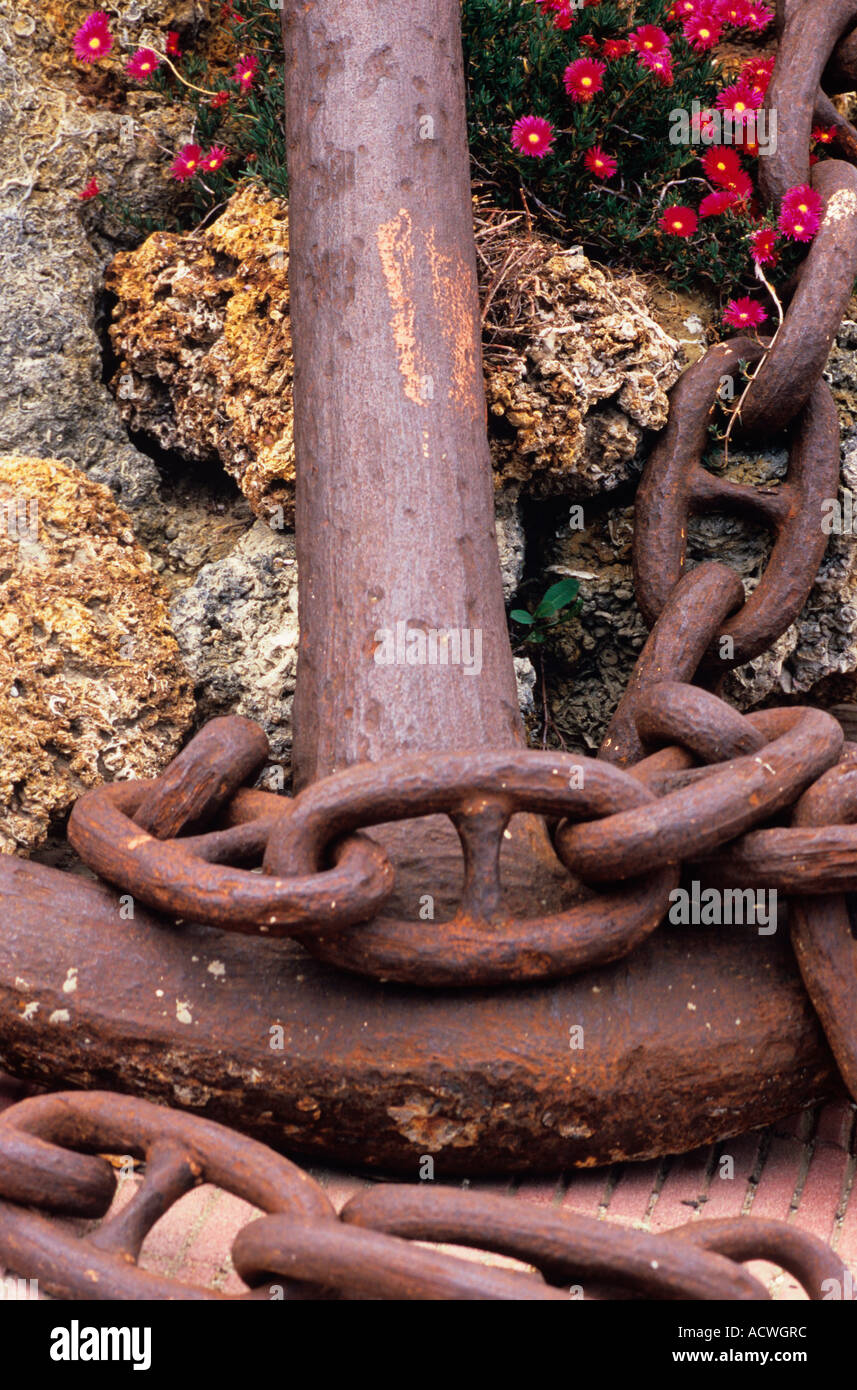 old rusty anchor lying against rocks and flowerbeds for decoration next ...