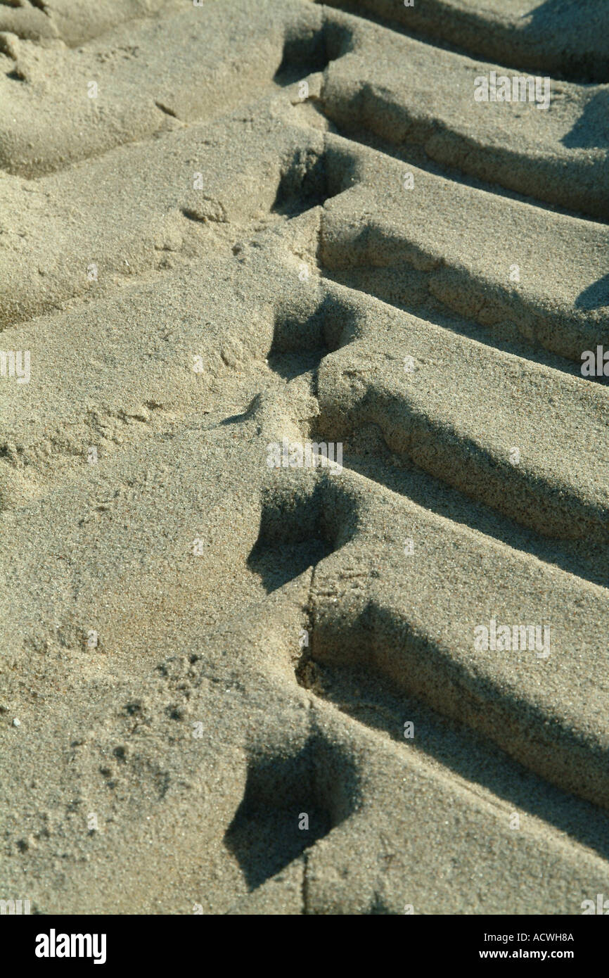 keep in track in the sand Stock Photo - Alamy