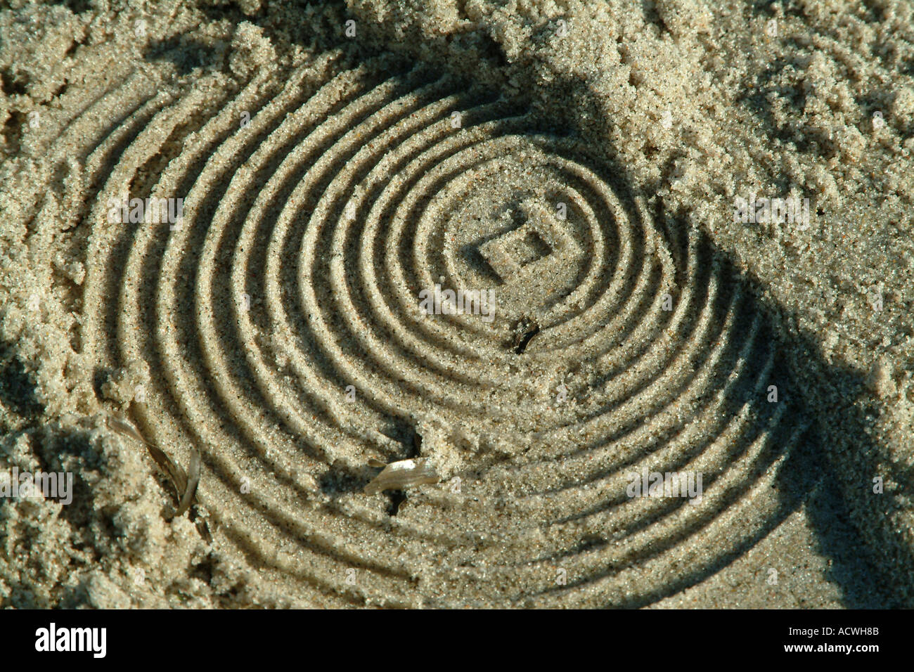 keep in track in the sand Stock Photo - Alamy