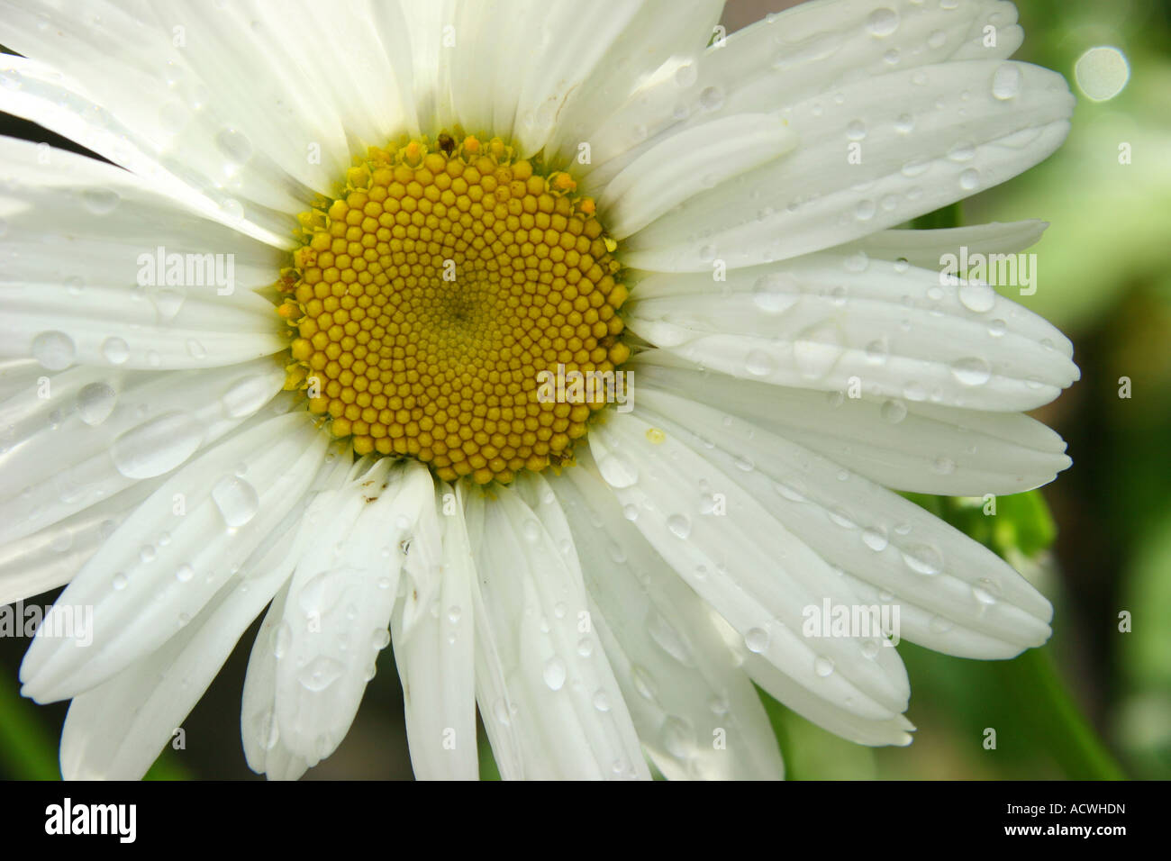 Brief shower hi-res stock photography and images - Alamy