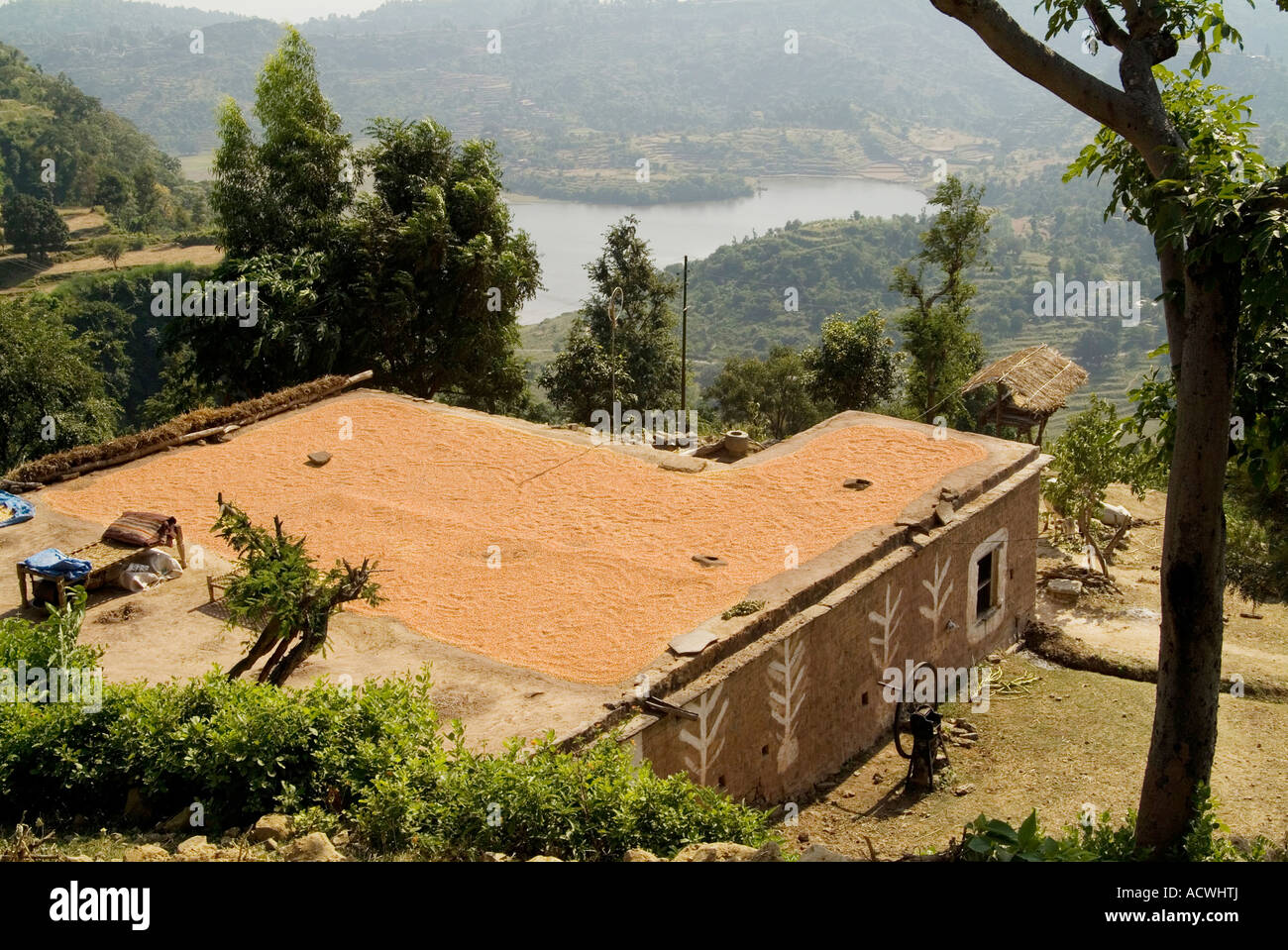 A TYPICAL INDIAN RURAL HILLY VILLAGE SCENE SHOWING CORN DRYING ON ROOF ...