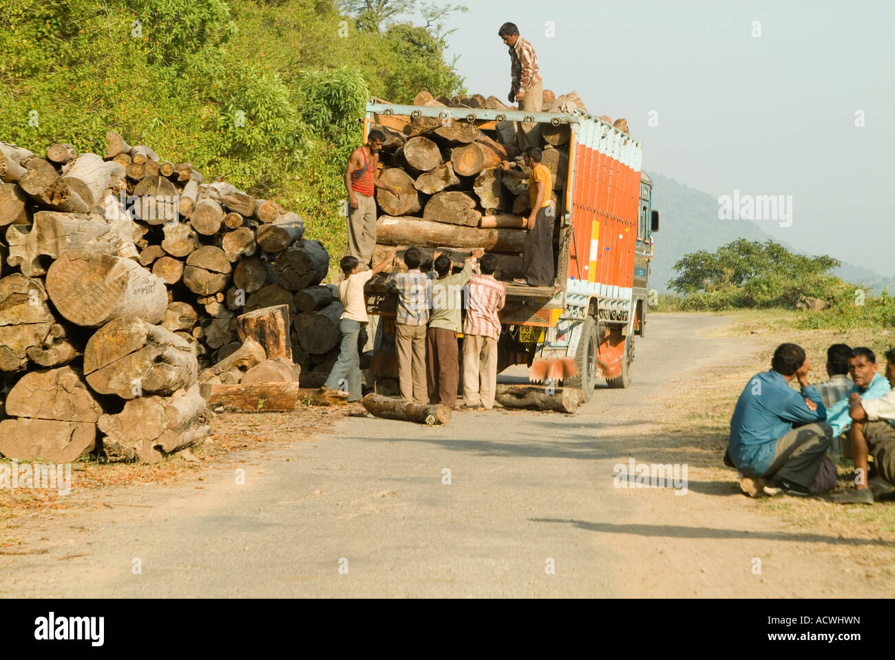 A TRUCK BEING HAND LOADED WITH BIG LOGS IN HIMACHAL, INDIA Stock Photo ...