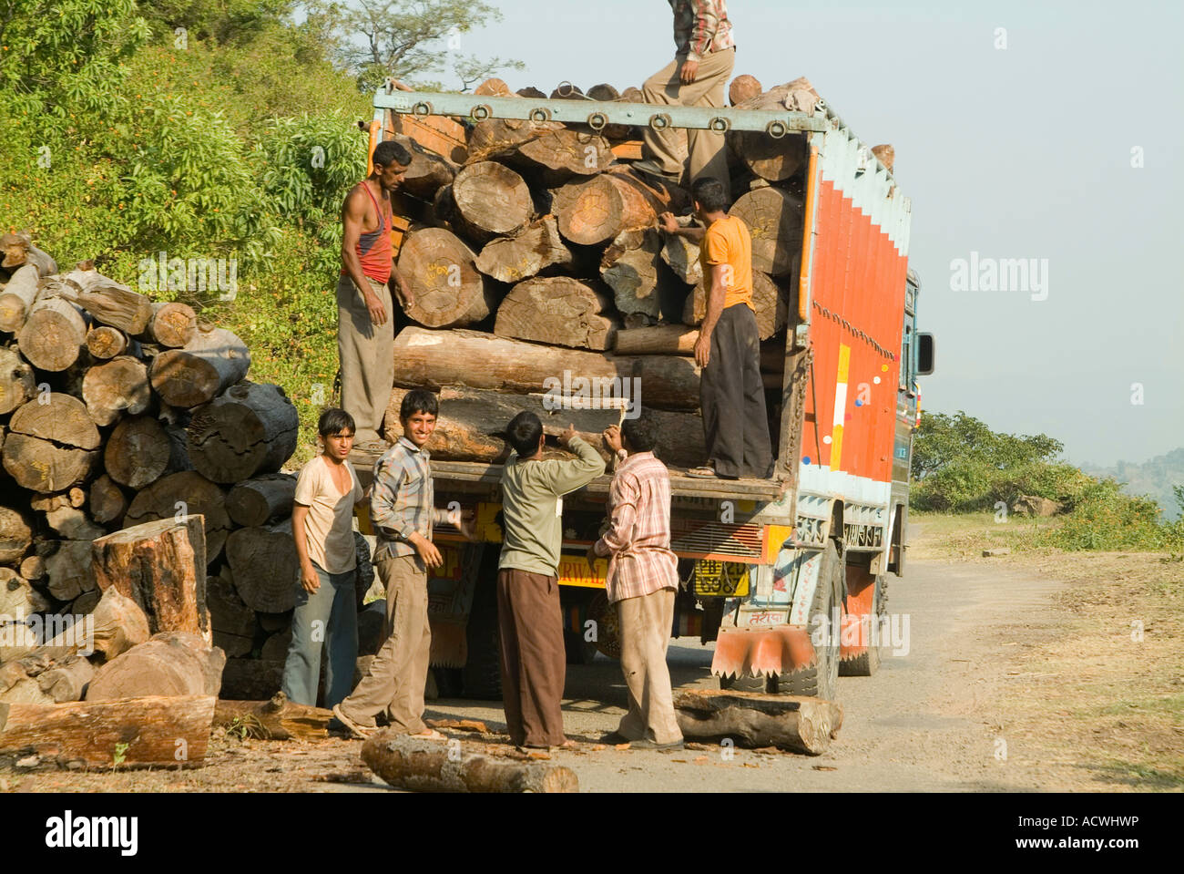 A TRUCK BEING HAND LOADED WITH BIG LOGS IN HIMACHAL, INDIA Stock Photo ...