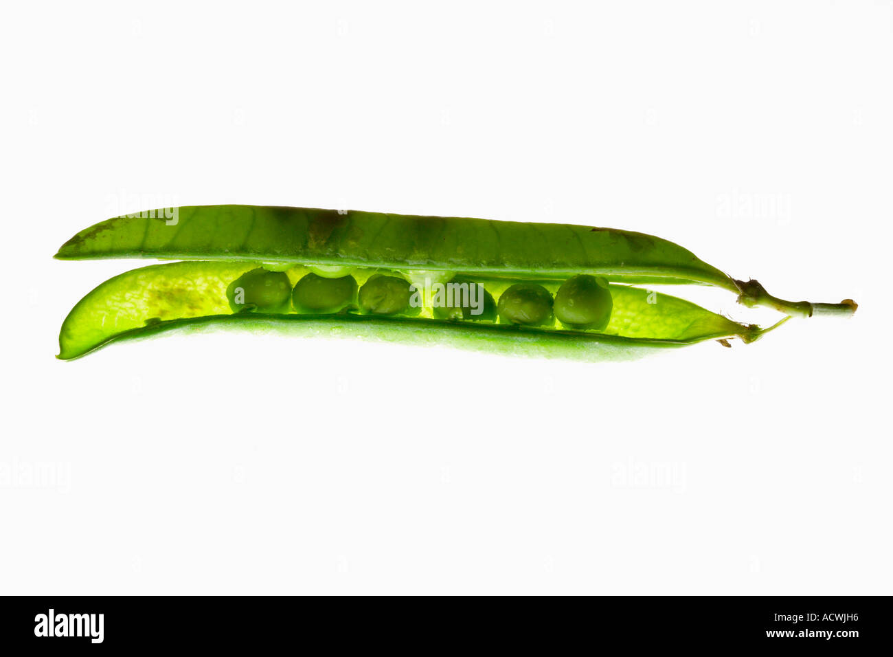 Peas inside open pod hi-res stock photography and images - Alamy