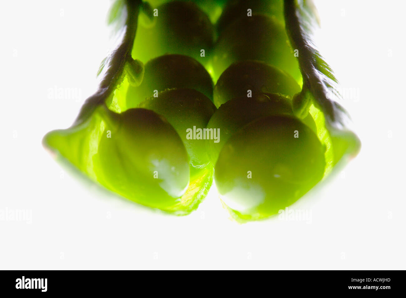 Pea pod interior hi-res stock photography and images - Alamy