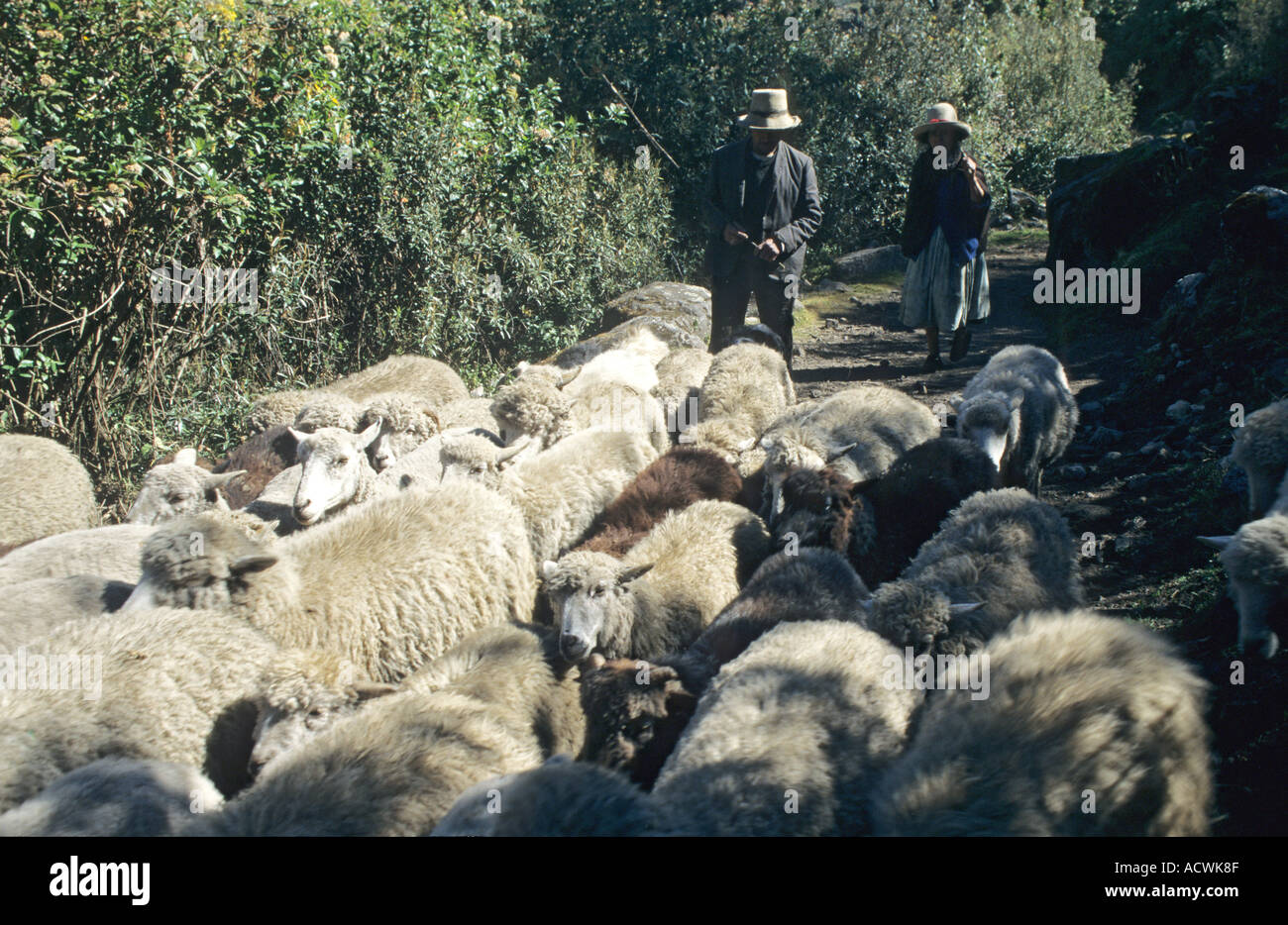 Living Conditins in Peru Stock Photo - Alamy