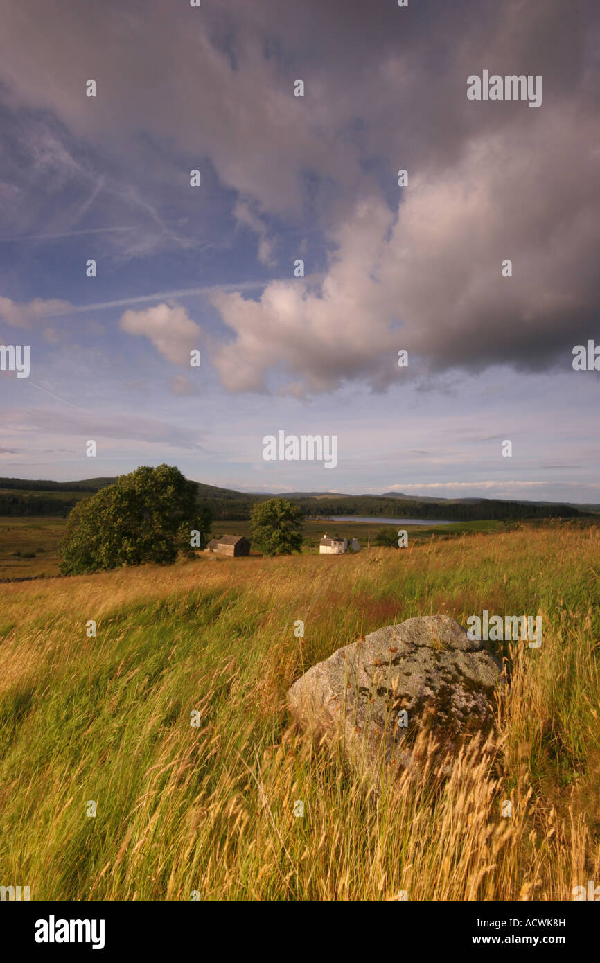 A remote Galloway homestead surrounded by natural beauty and scenery at ...