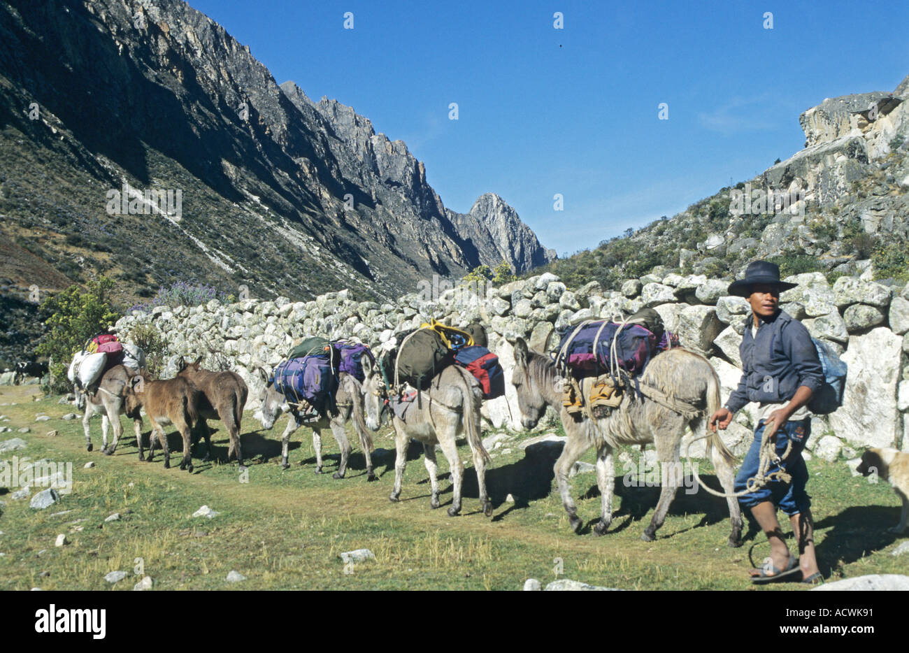 Living Conditins in Peru Stock Photo - Alamy