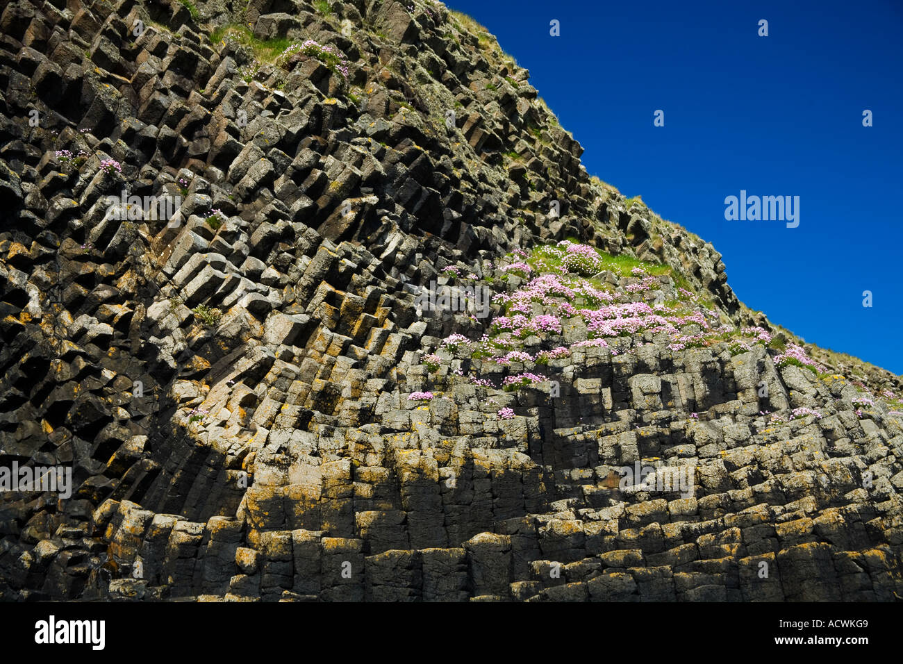 Contorted basalt strata on island of Staffa Inner Hebrides Argyll ...