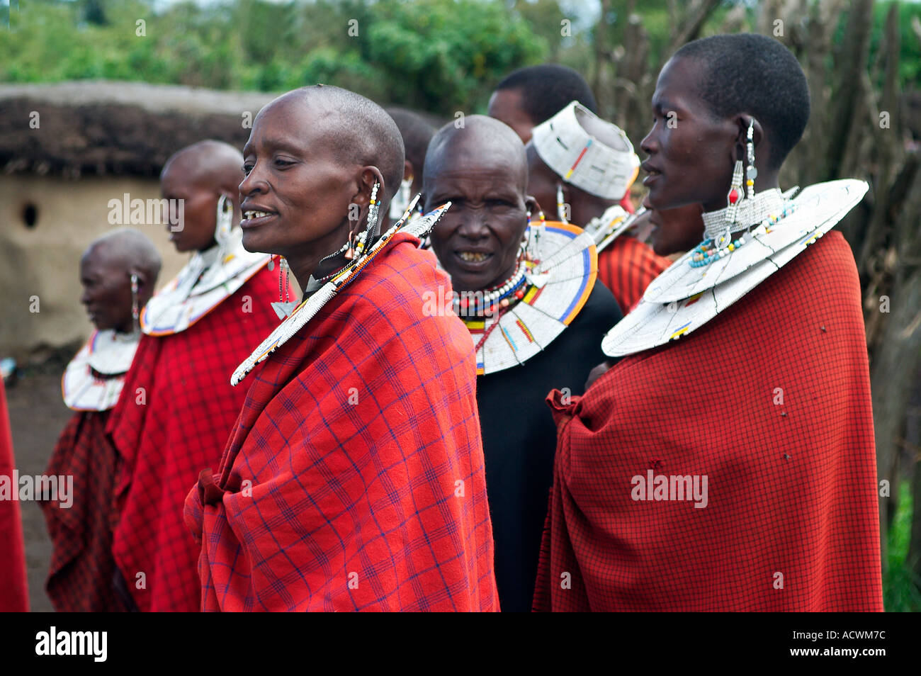 group of maasai women in traditional dresses Stock Photo - Alamy