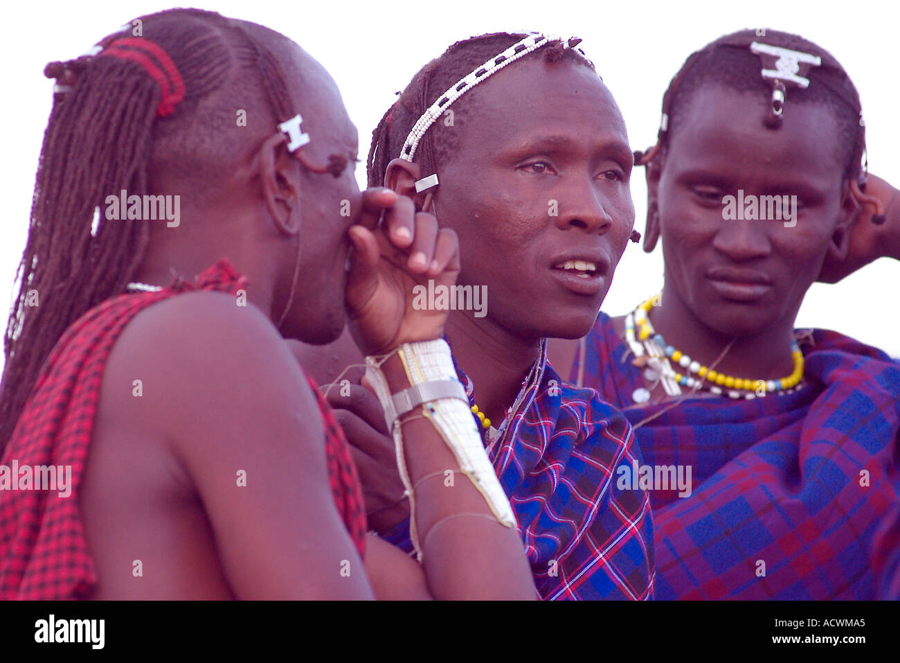 maasai warriors or moran in traditional dresses Stock Photo - Alamy
