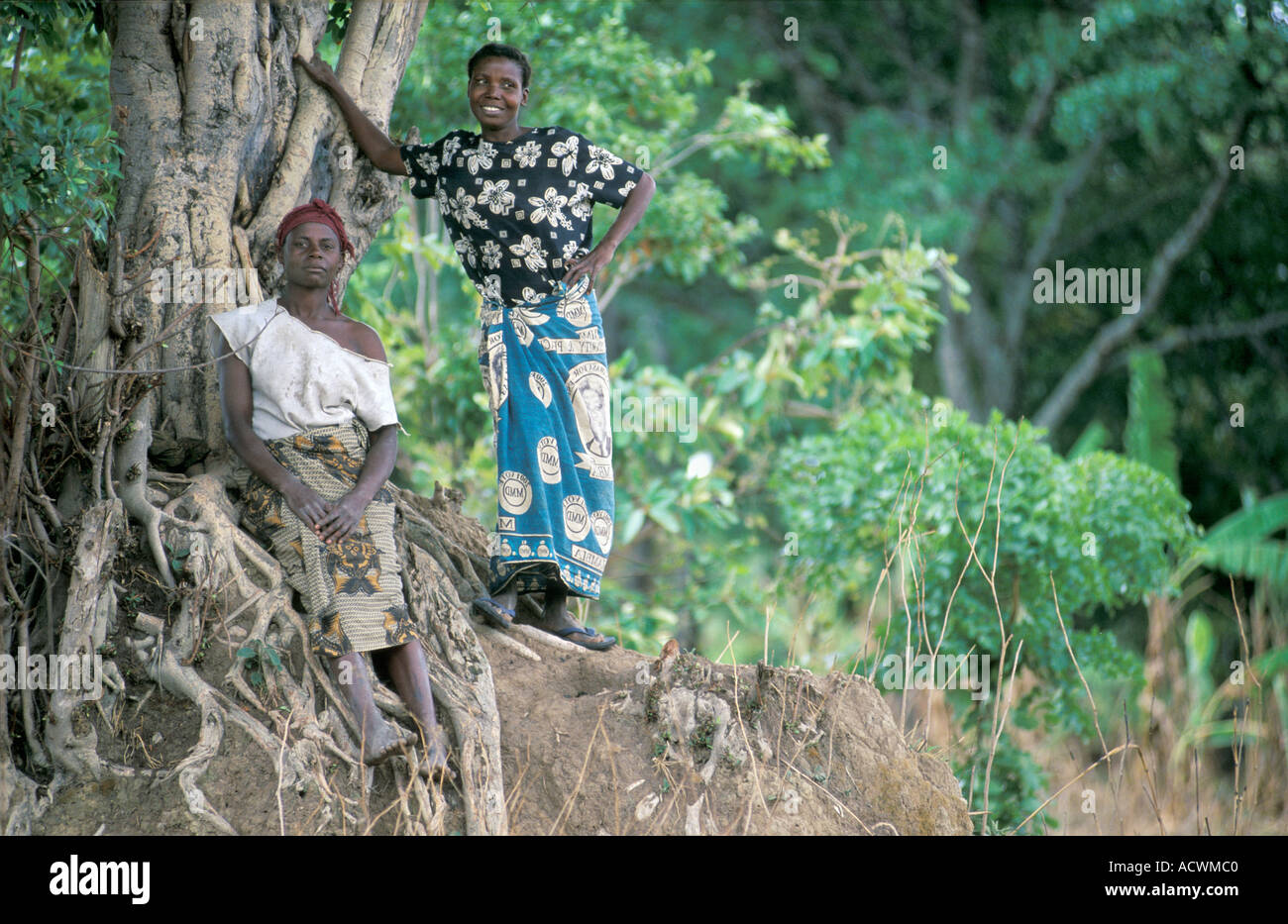 black women under a tree Stock Photo - Alamy