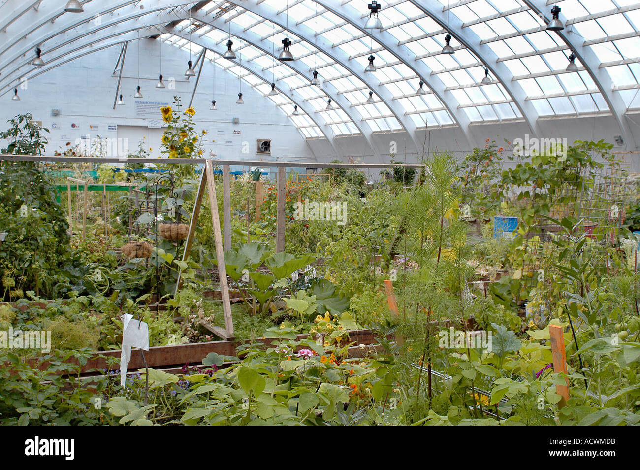 public greenhouse of Inuvik Stock Photo - Alamy