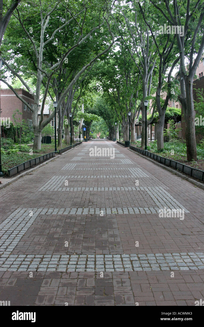 Locust walk University of Pennsylvania Philadelphia Pennsylvania USA ...