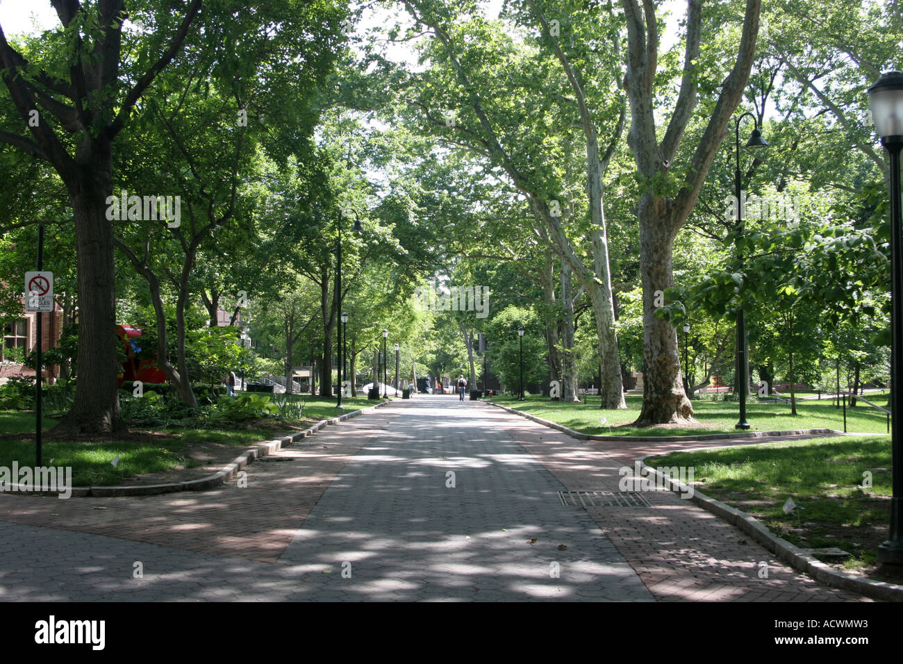 Locust walk University of Pennsylvania Philadelphia Pennsylvania USA ...