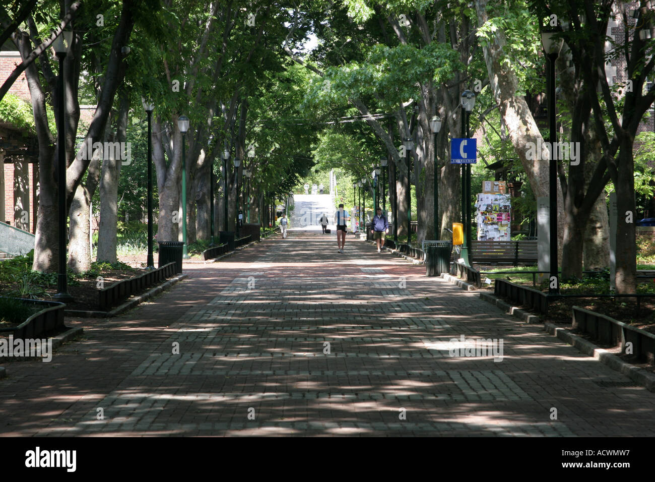Locust walk university pennsylvania hi-res stock photography and images ...