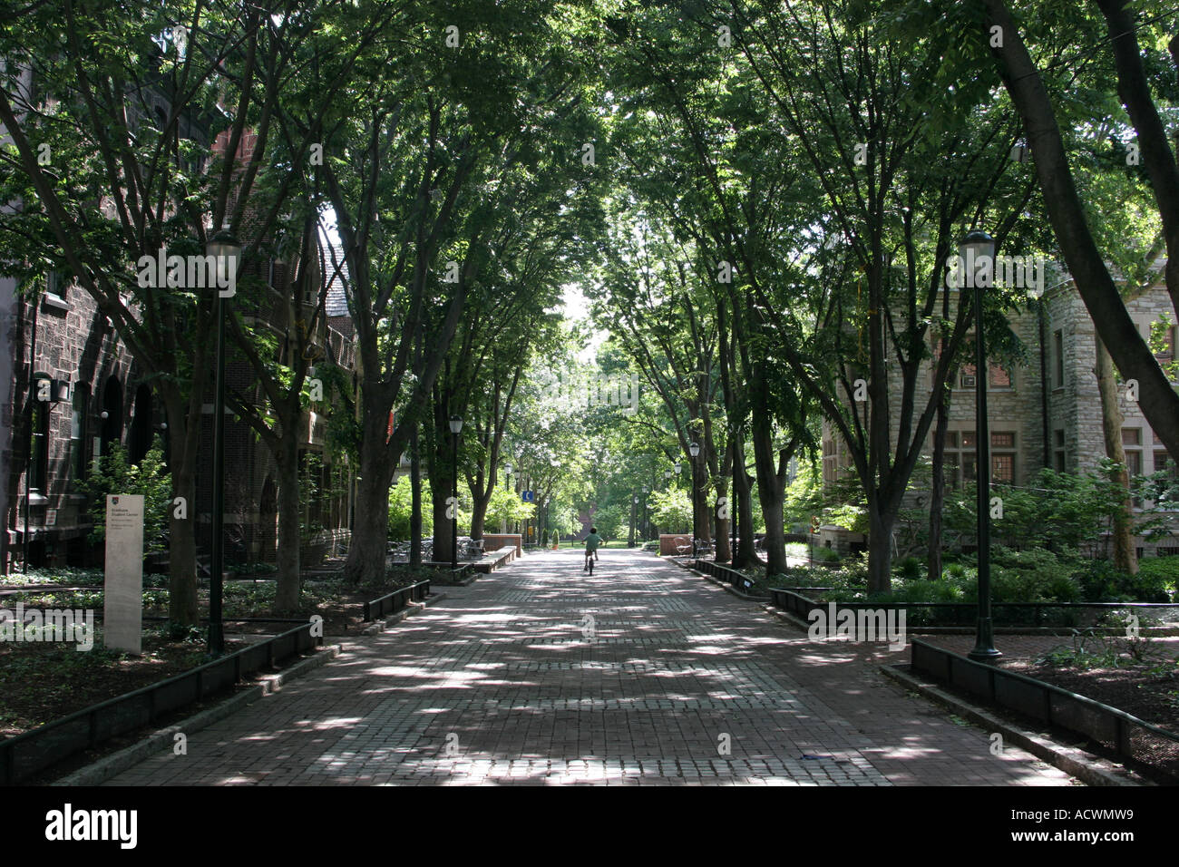 Locust walk University of Pennsylvania Philadelphia Pennsylvania USA ...